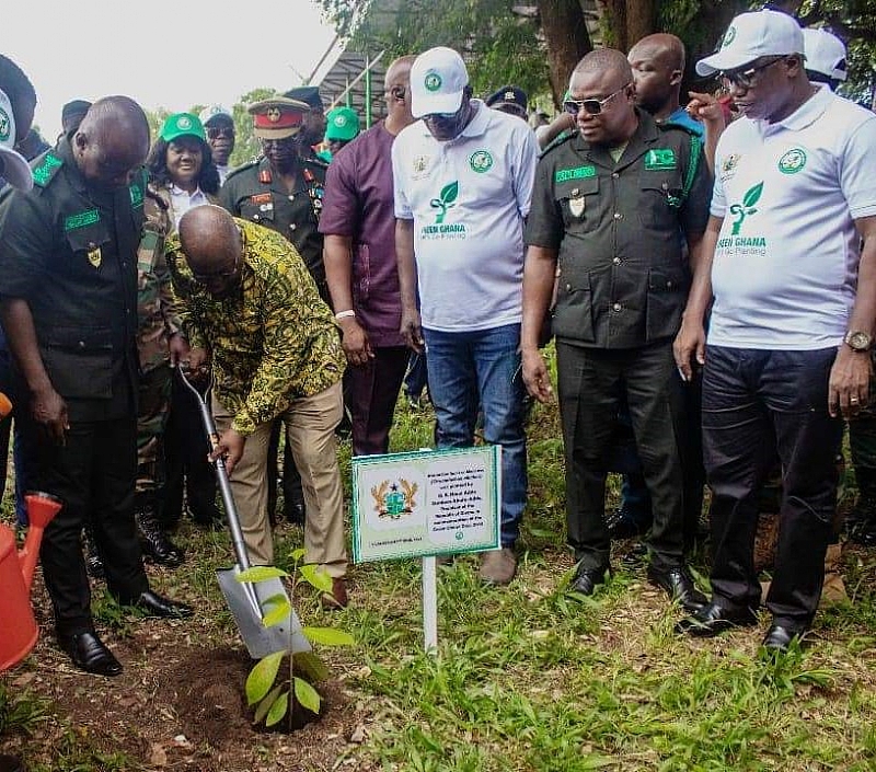 ‘Green Ghana Day’: Akufo-Addo touts record of planting 52 million trees ...