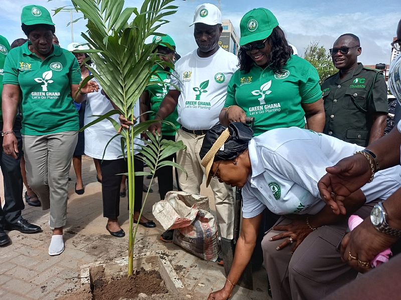 Chief Justice plants trees, cautions illegal miners to halt activities