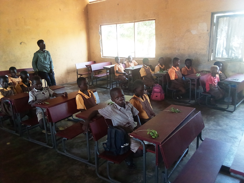 The challenges of Tampelle M/A Primary School in Nandom Municipality