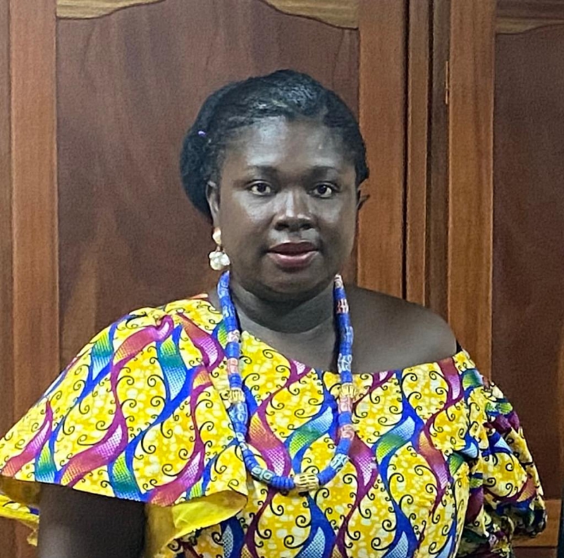 Physical Planner calls for integration of female perspective in spatial ...