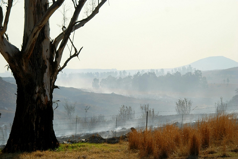 Berg winds in South Africa: the winter weather pattern that increases ...