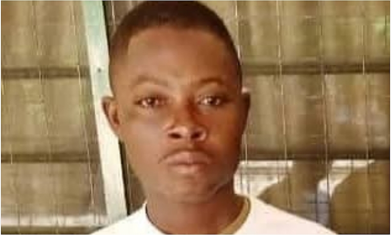 Forestry guard declared missing in Nkwanta South