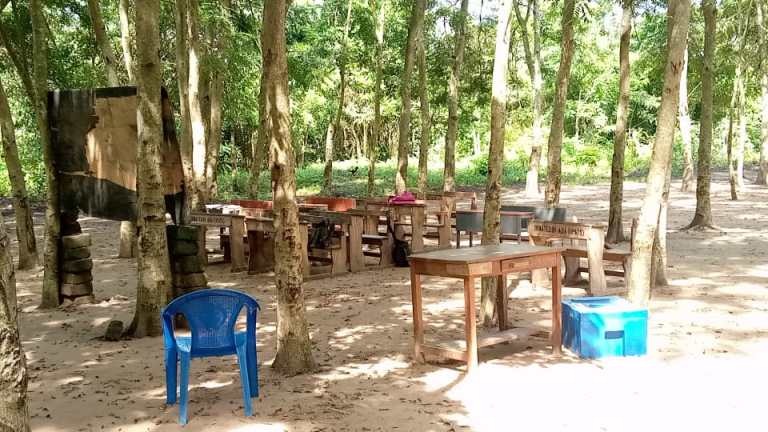 Lack of classrooms: Teachers and learners still under trees at Adaklu ...