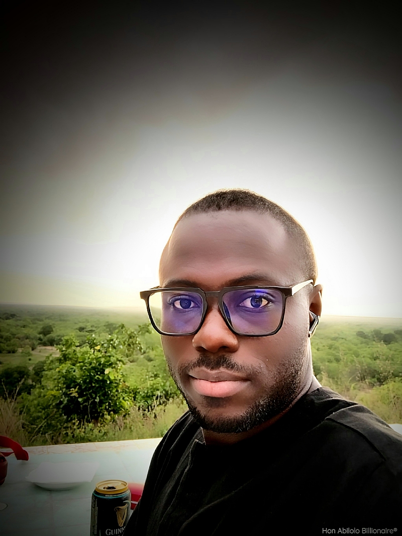 Ghana's Human Development Dilemma: Who Does What? An Evaluation by ...