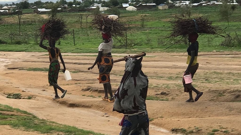 Desperate hunt for fuel threatens a once thriving forest reserve in ...