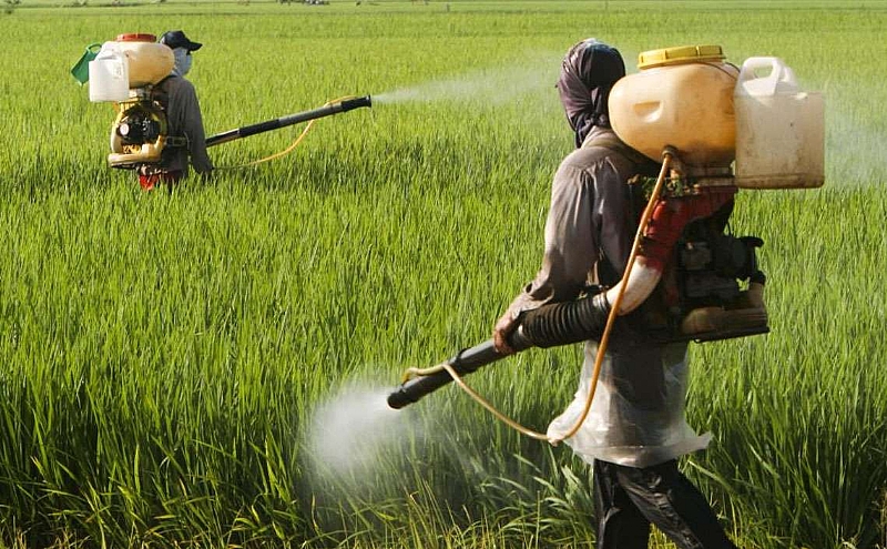 Mahama's next government will provide free agro-inputs to farmers