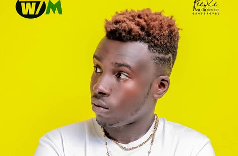 Letter To My MP: Qwesi Qorang Lashes Underperforming Ghanaian MPs In ...