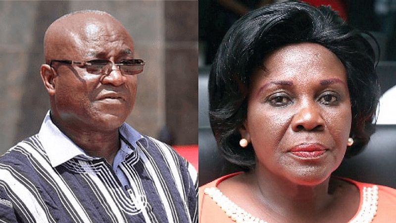 Let’s wait for Cecilia Dapaah’s source of wealth – Majority Leader