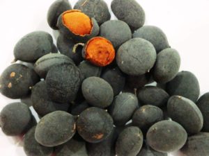 Health Benefits Of Velvet Tamarind (Yooyi)