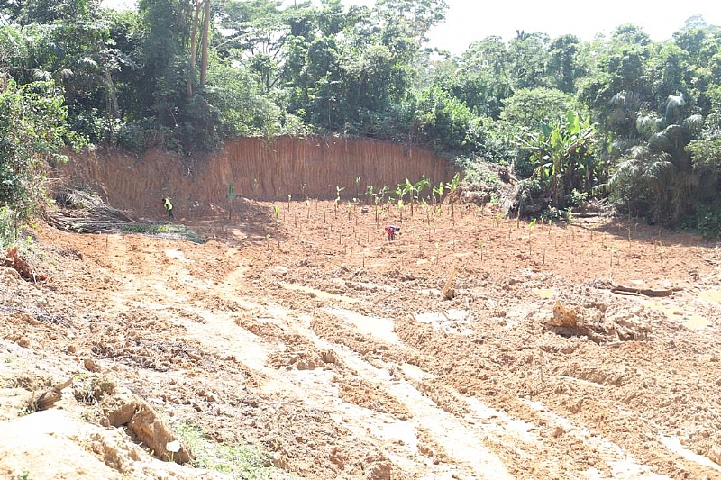Ministry Gets $80m For Reclamation Of Galamsey Sites
