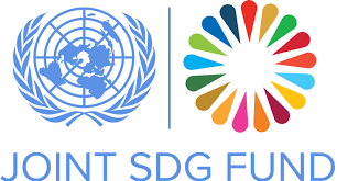 Joint SDG Fund Announces a Historical $US60 Million Grant to Close the ...