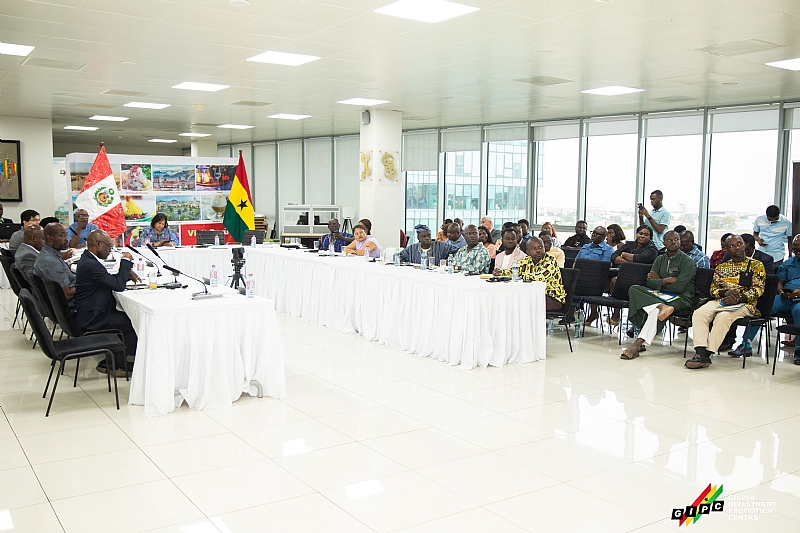 Let’s Harness Ghana, Peru trade and investment potential – Peru Ambassador