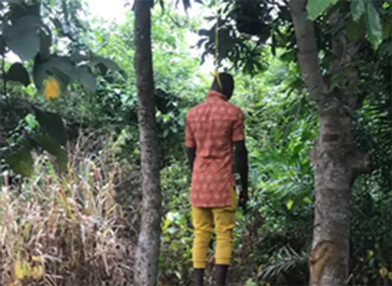 A/R: Man hangs on mango tree at Gyaekontabuo