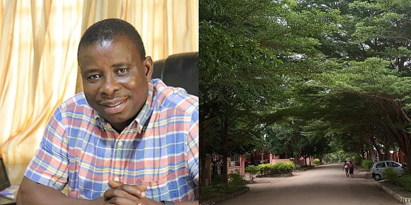 Koans estates celebrates planting five thousand trees