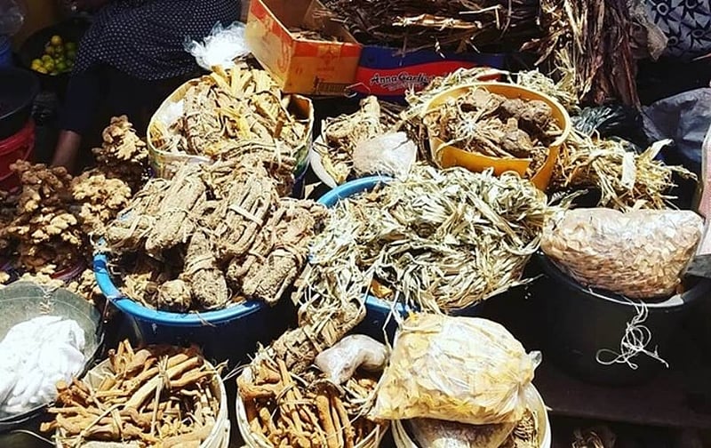 Prospective View for Traditional Medicine, Science, and Innovation in Ghana