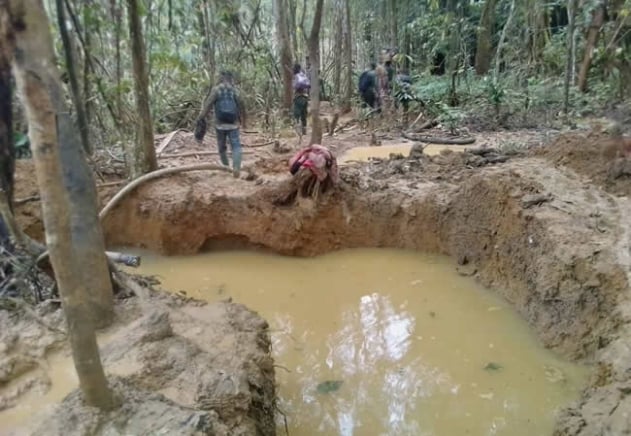 Mining in Atiwa forest will affect groundwater recharge - witness tells ...