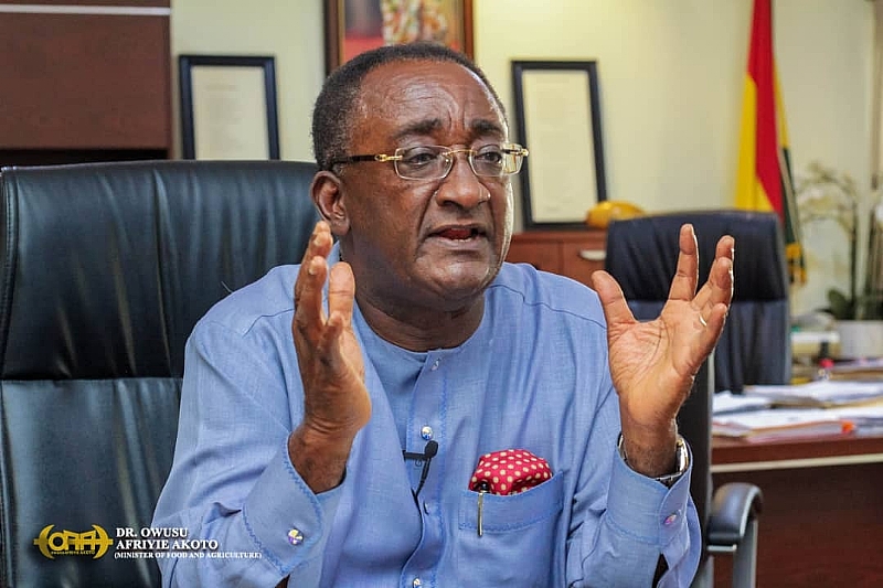 The current NPP organizational structure lacks discipline — Dr. Afriyie ...