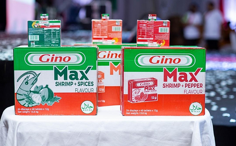 Gino Max Launched