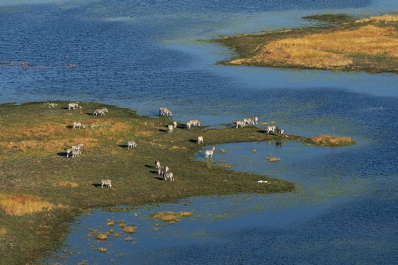 Oil drilling threatens the Okavango River Basin, putting water in ...
