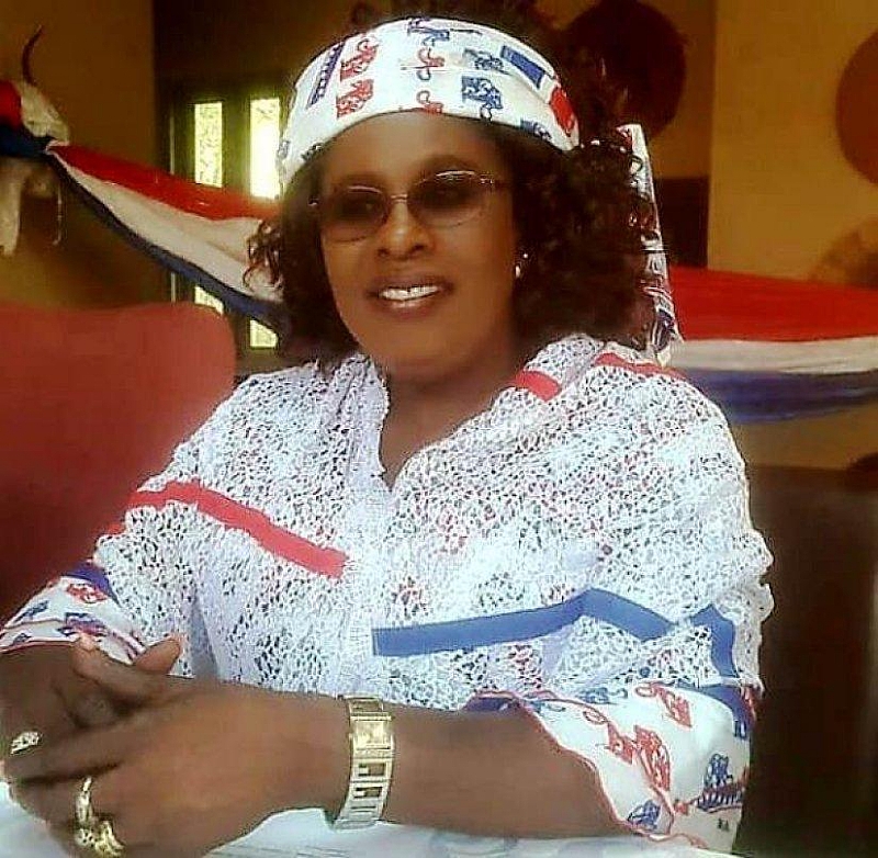 NPP 2020 Manifesto: South Africa NPP Branch Chairperson Urges Unity ...