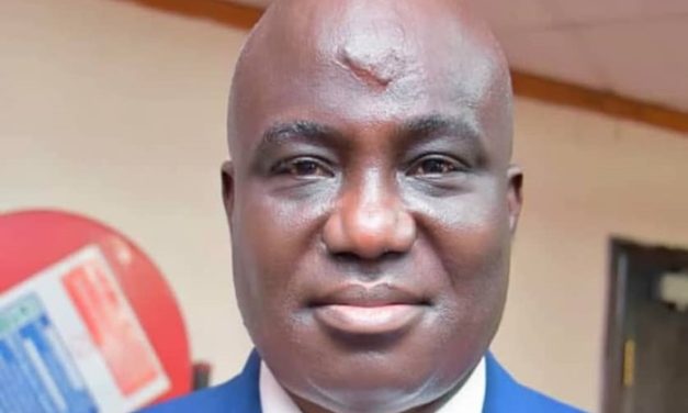 NDC flagbearer race: When I get to the bridge, I will cross it - Agric ...