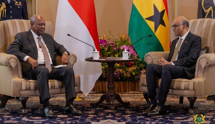 Here are Mahama's major projects for Singapore investors in Ghana