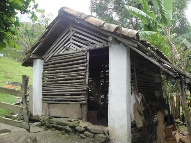 'Chicken Girl': The Tragic Story Of A Girl Who Grew Up In A Chicken Coop