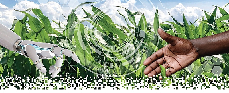 The Rise Of Digital Agriculture And Dispossession In Africa ...