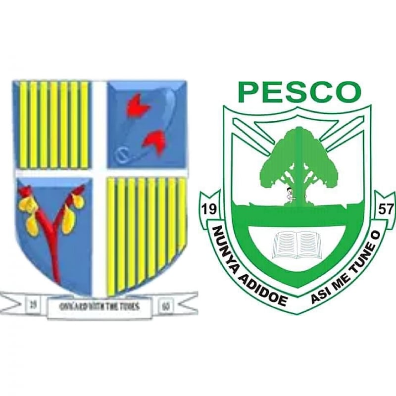 STEMNOVATION: Bueman, Peki SHSs defy odds to win Zone 6 Stem Competition