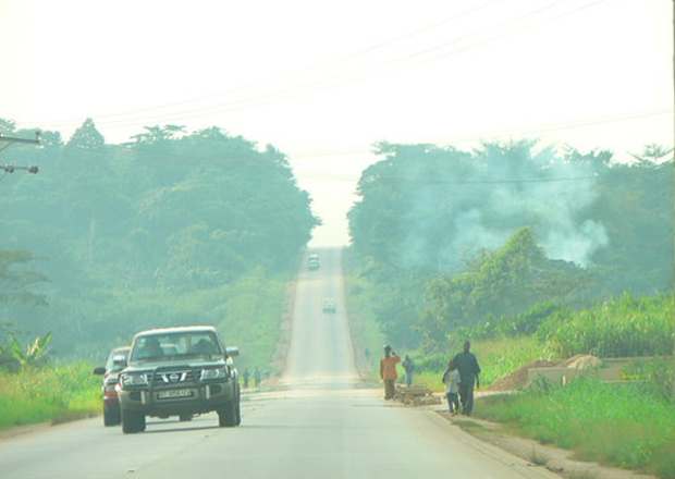 Disaster In Jinjini