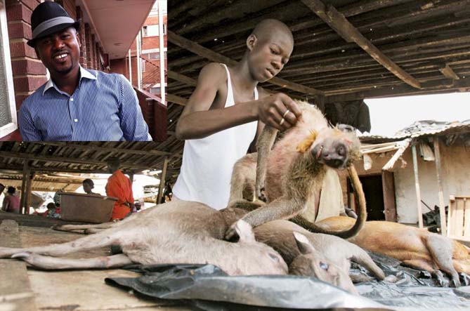 Eating Monkey Meat Is Anti-Tourism …Abeiku Santana Calls For Change