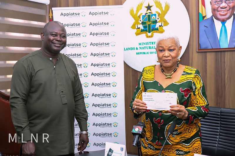 GhC45 million raised for Appiatse reconstruction — Dr Joyce Aryee