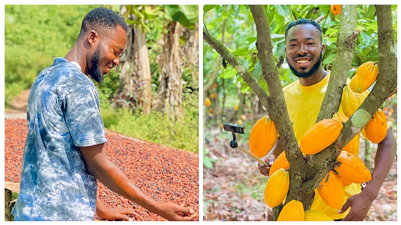 New cocoa price increment will ensure farmers' well-being, sector’s ...