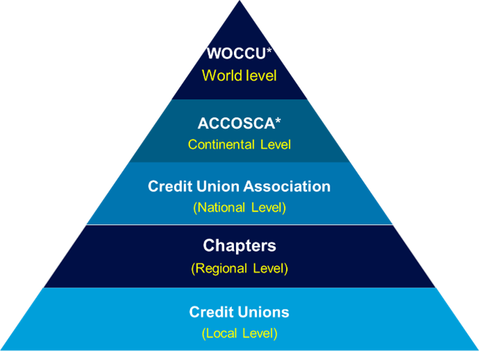 The Concept Of Credit Unions And Its Role In Driving Financial Inclusion