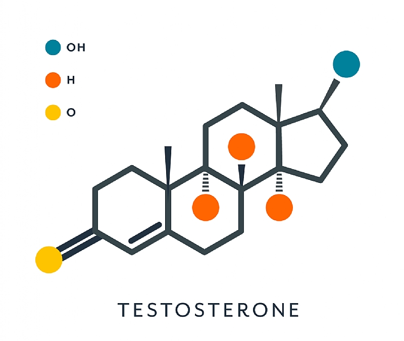 Androgen Deprivation Therapy To Treat Advanced Prostate Cancer