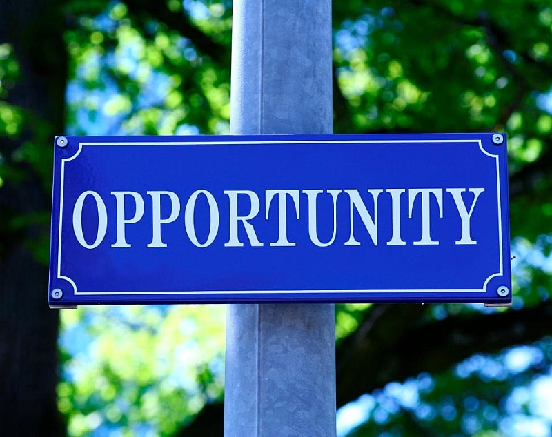 The 4 Actions You Must Take to Find Your Opportunity