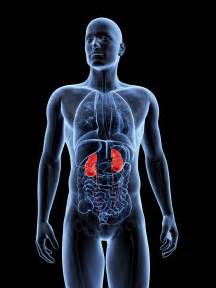 Symptoms Of Kidney Disease In Men