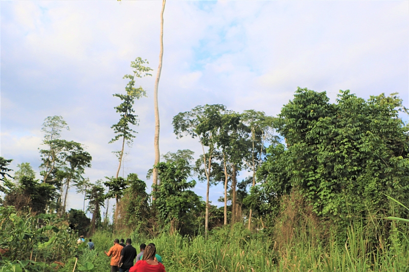 Bringing life back to nature and people