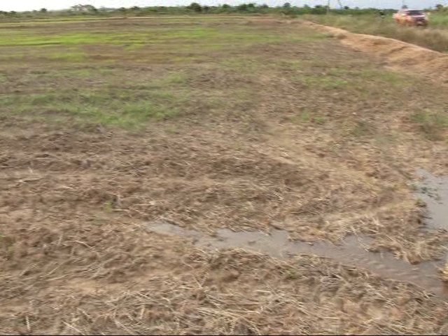 US Investor Accuses Gov't Of Deception Over Collapse of Aveyime Rice ...