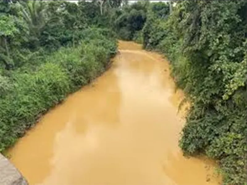 Death Of Ayensu River: Mourning The Mourning Of Professor Kwesi Yankah
