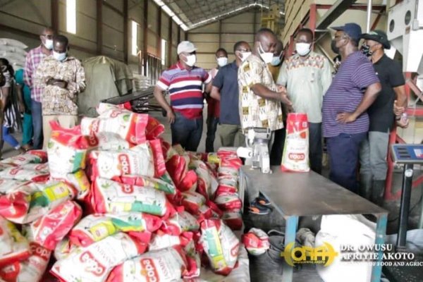 Ghana need more local rice to meet demand — Agric Minister