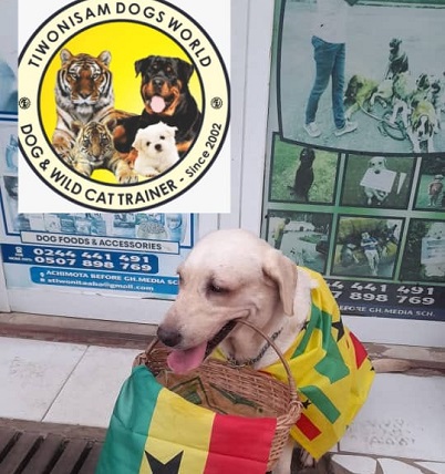 In Loving Memory of Nala: Celebrating The Profound Connection Between ...