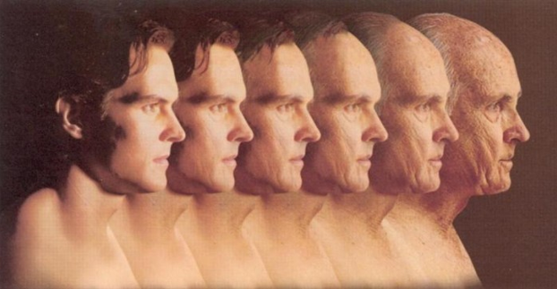 Some Popular Perceptions About Old Age In The Movie “Cocoon”
