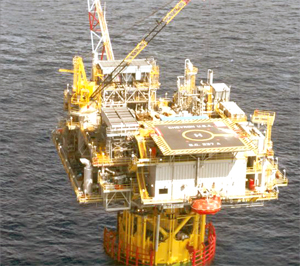 Fake Oil & Gas Firms Bloom