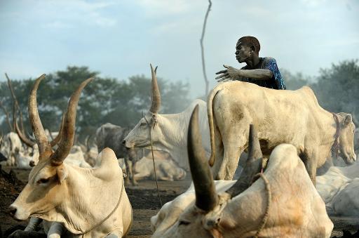 99 pct of Abyei's Dinka vote to join South Sudan