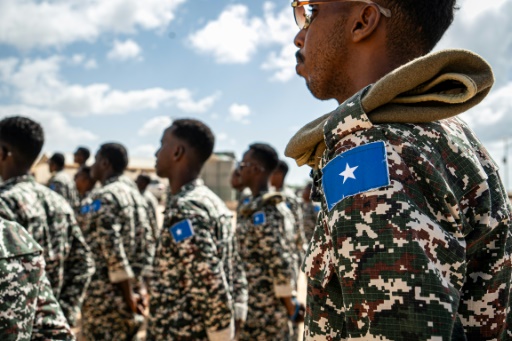 Somalia air strikes, combat kill dozens of jihadists: govt