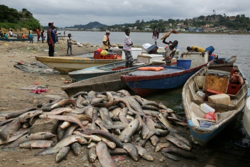 Carp deaths at Schweitzer's Gabonese home worry villagers