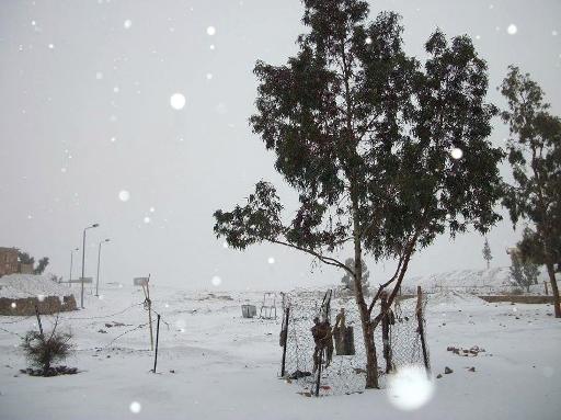 Cairo sees first snow in years as cold snap hits Egypt