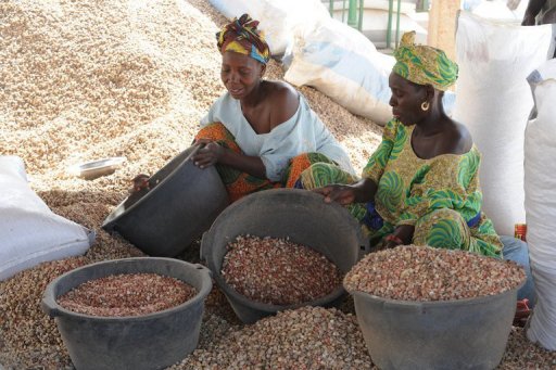 Chinese appetite makes peanuts the new 'gold' in Senegal