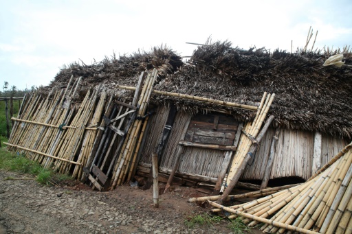 Cyclone Freddy kills four in 'rare' return to Madagascar